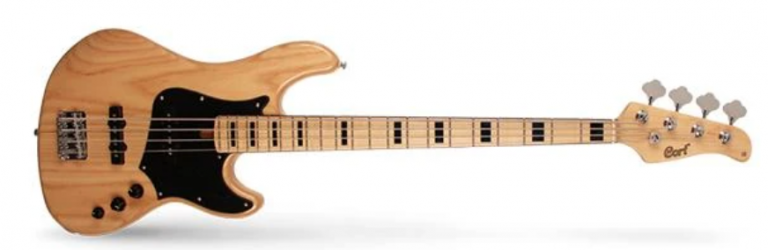 InstruRentals - Best Place To Rent Any Musical Instrument Today