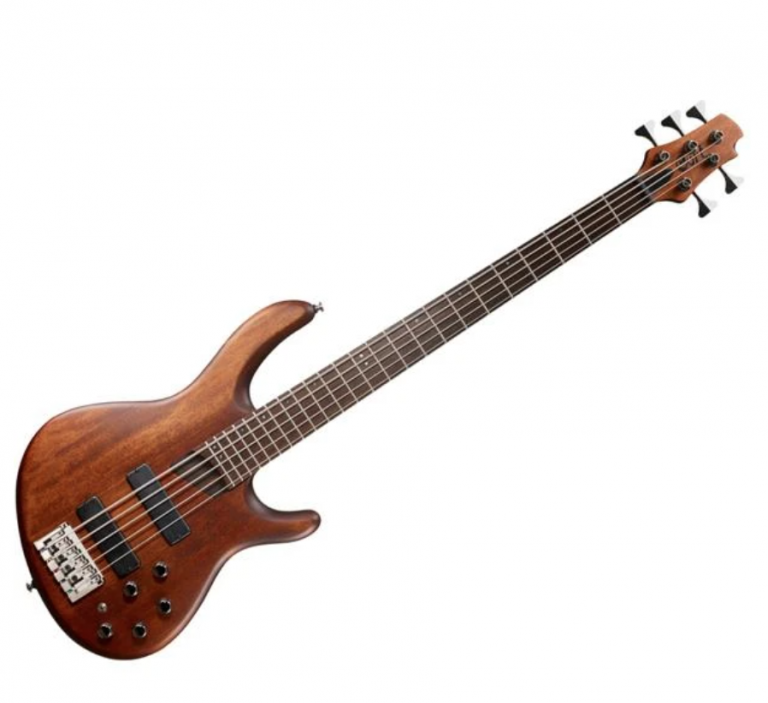 InstruRentals - Best Place To Rent Any Musical Instrument Today